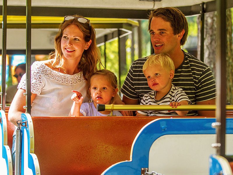 Hopp på Tøffe-toget for et pust i bakken | Bø Sommarland